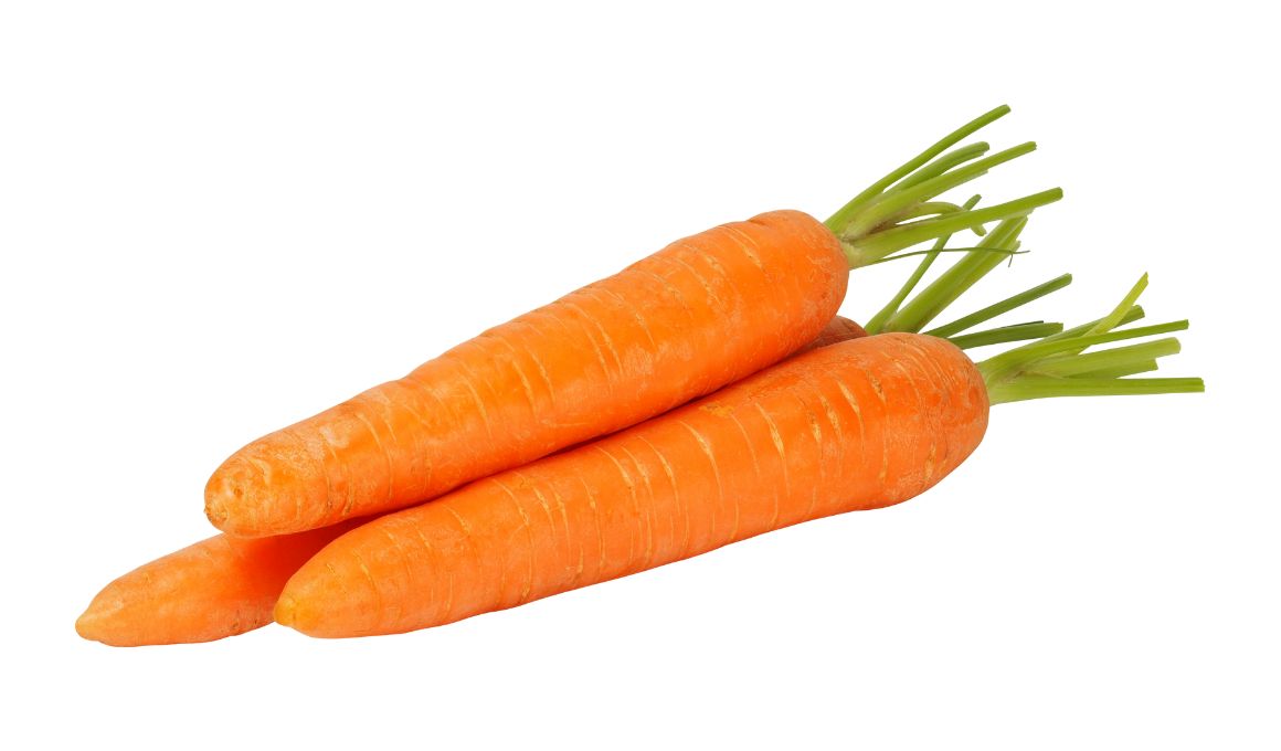 Can You Grow Carrots? / What Are Some Common Carrot Varieties ...