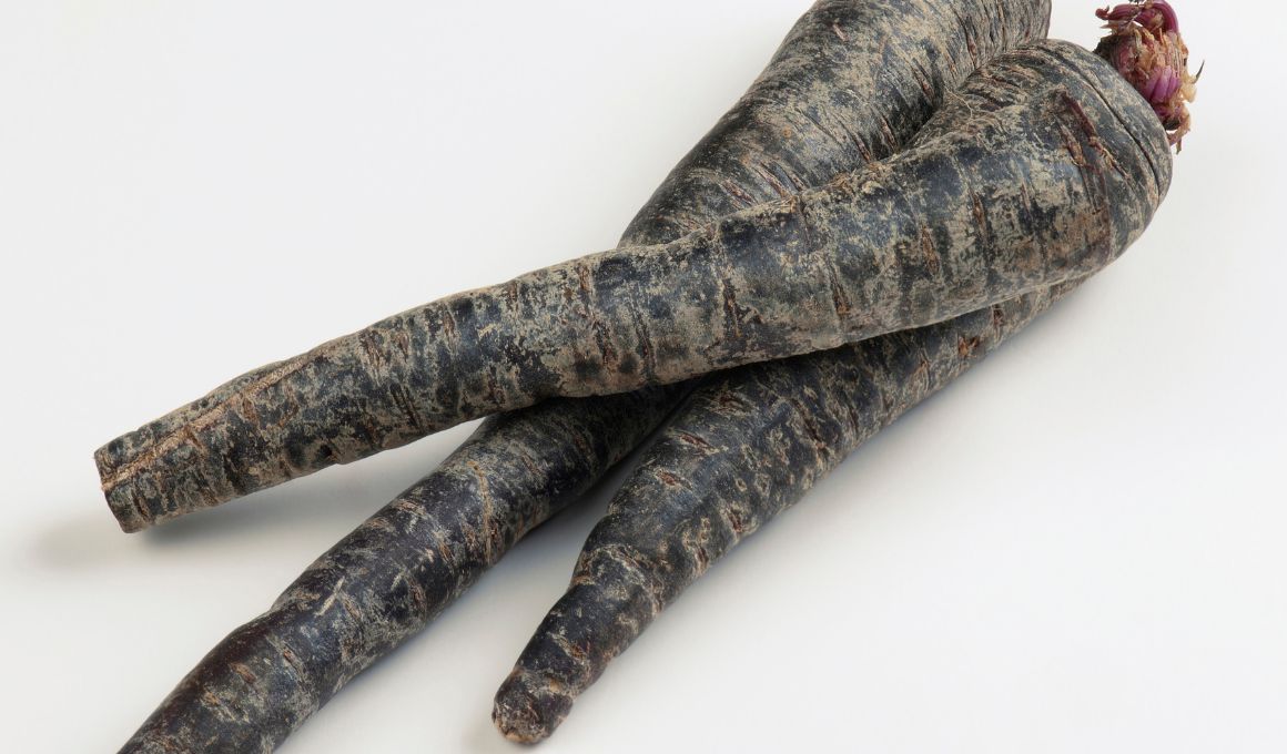 Can You Grow Carrots? / What Are Some Common Carrot Varieties ...