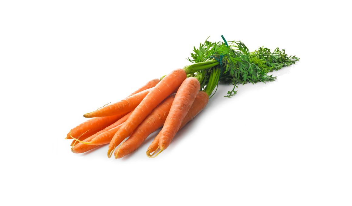 Can You Grow Carrots? / What Are Some Common Carrot Varieties ...