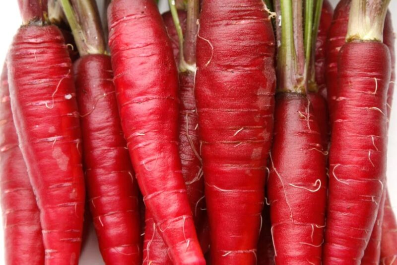 Difference Between Red Carrots and Orange Carrots - Happiness Carrot